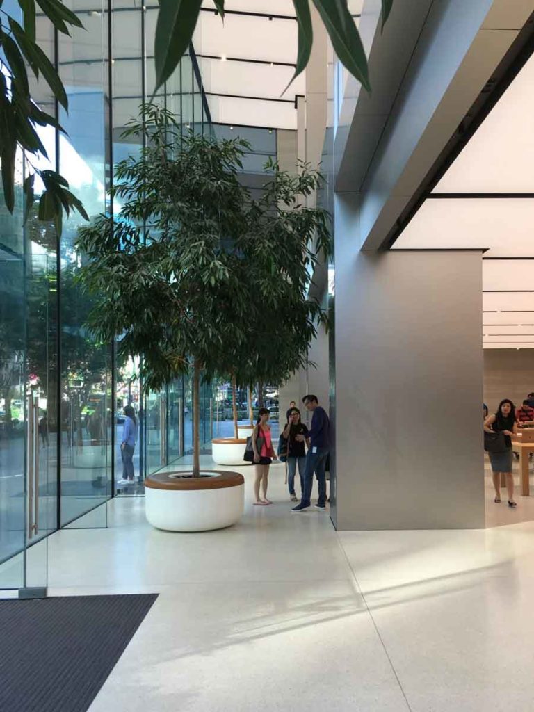 Apple Store Design Singapore – A Case for Preservation? - merrowsmith.com